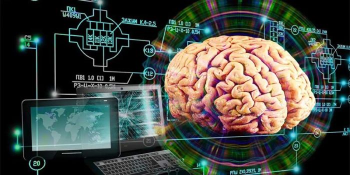 تفاوت مغز و کامپیوتر چیه؟ » فرق بین همه چیز در دیفرتو